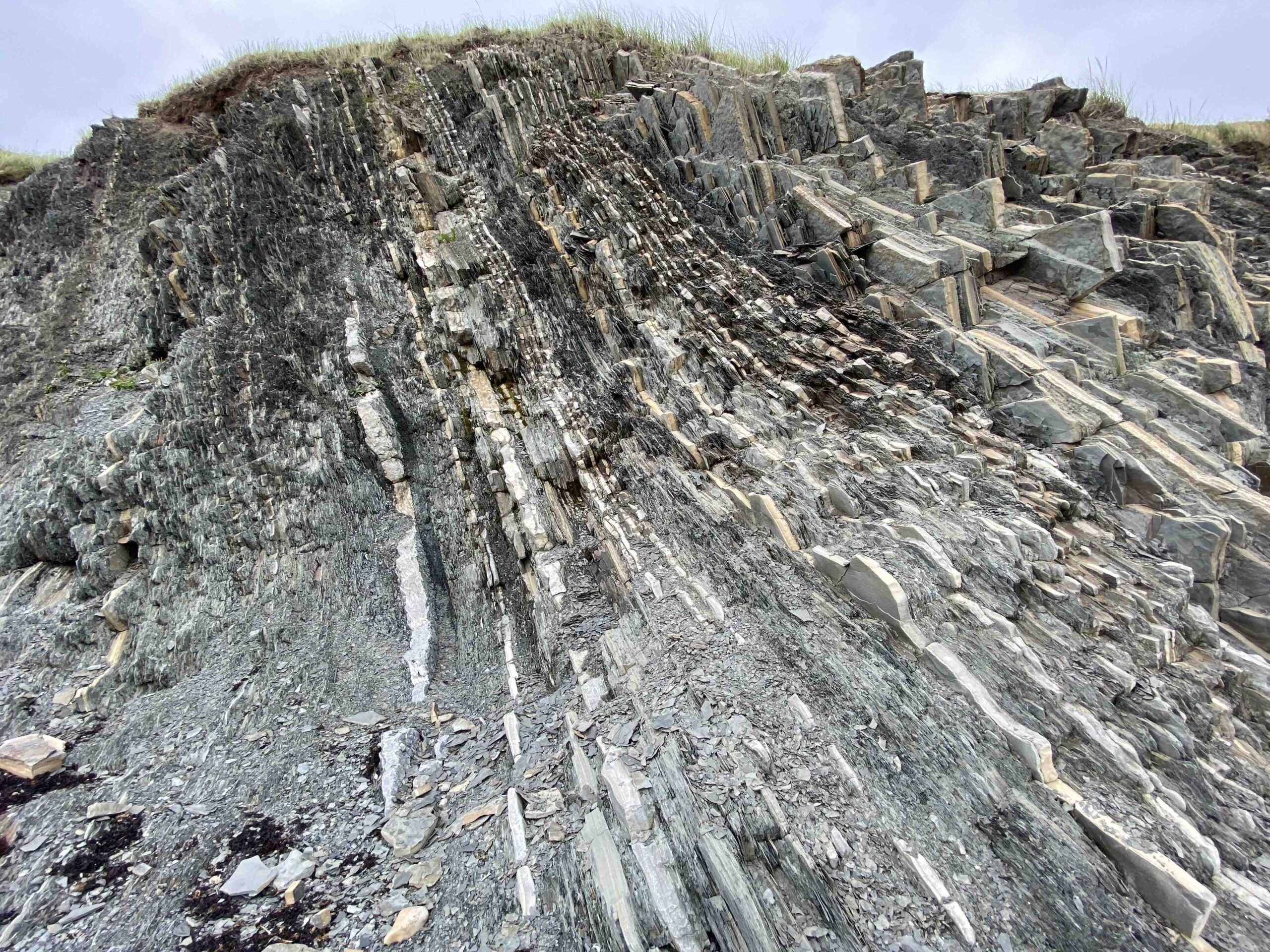 Newfoundland: Keeper of Stories in Stone : Liz Jansen