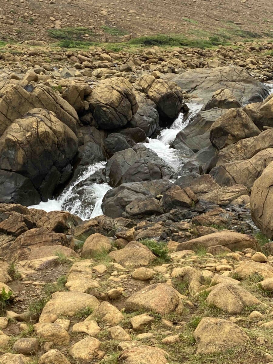 Newfoundland: Keeper of Stories in Stone : Liz Jansen